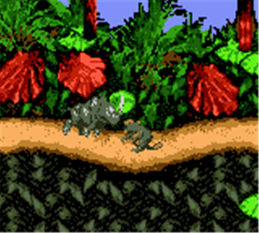 Donkey Kong Country (GBC) - GBA Roms